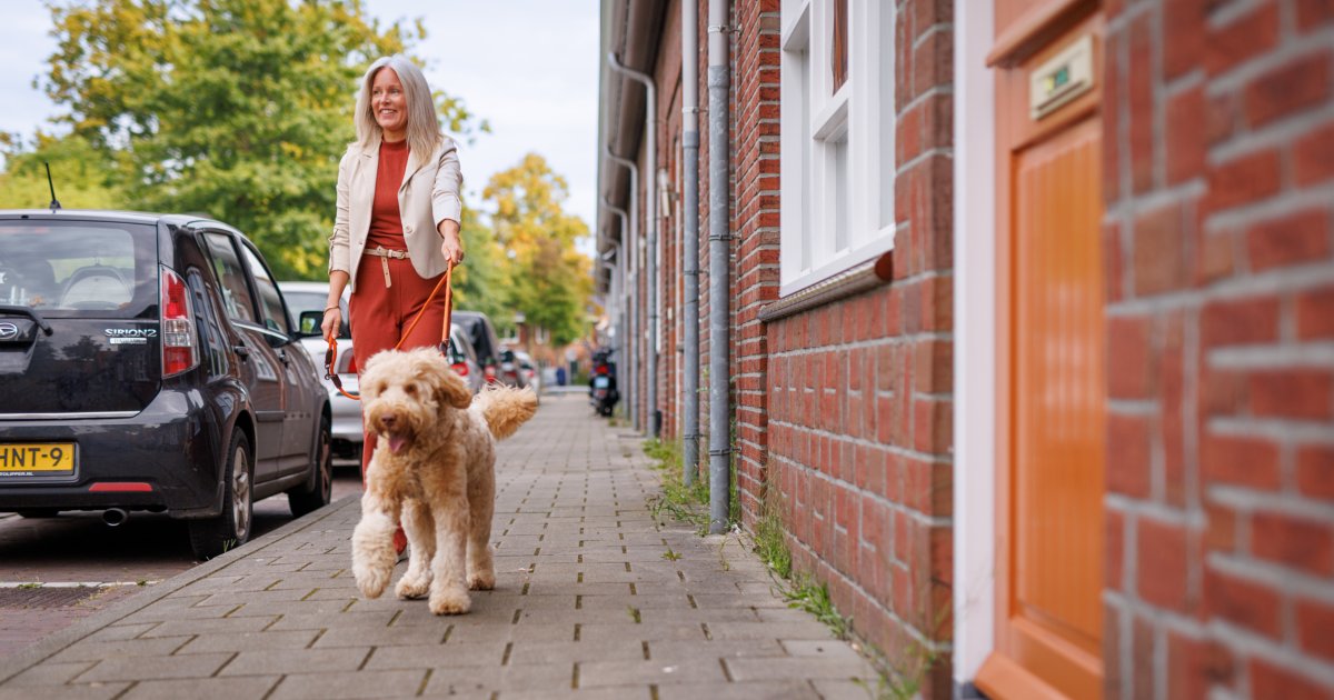 Mijn Woonplaats - De Woonplaats